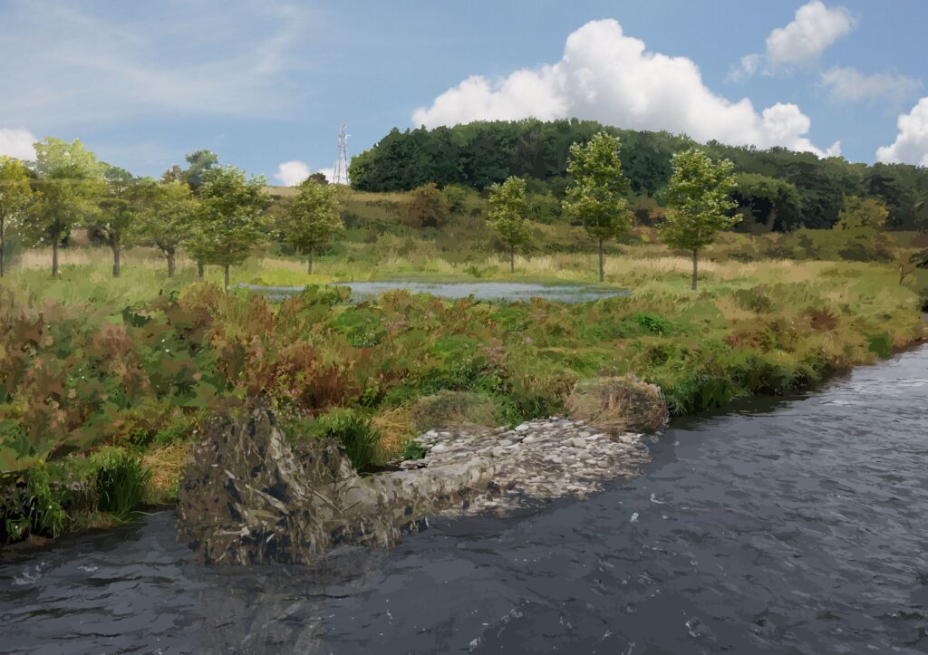 Restoring the River Leven - Fife Coast & Countryside Trust